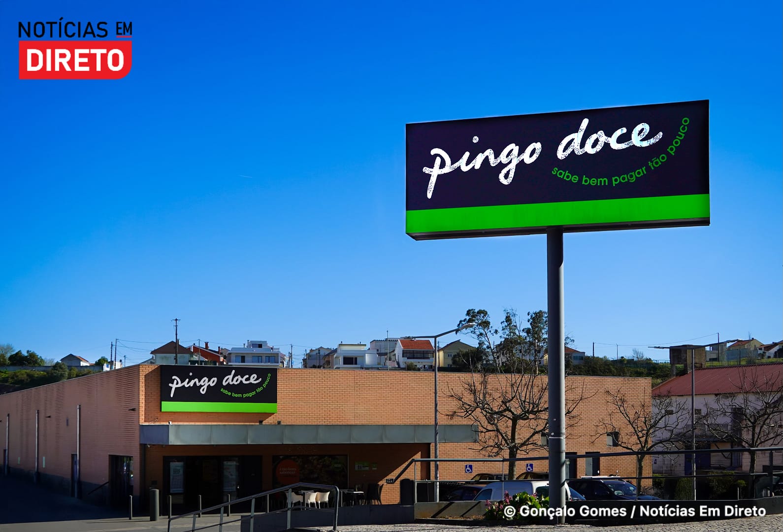 Programa de remodelações do Pingo Doce deverá abranger este ano 50 ...